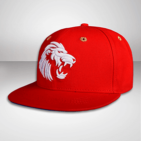 Punjab Kings shop | T-shirts, Caps and more